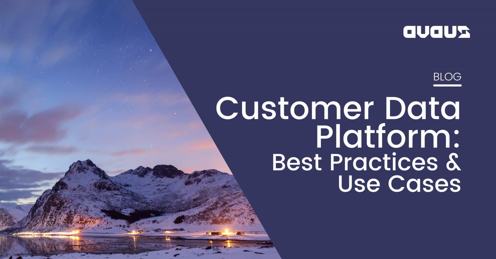 Customer Data Platform: Best Practices & Use Cases - Avaus
